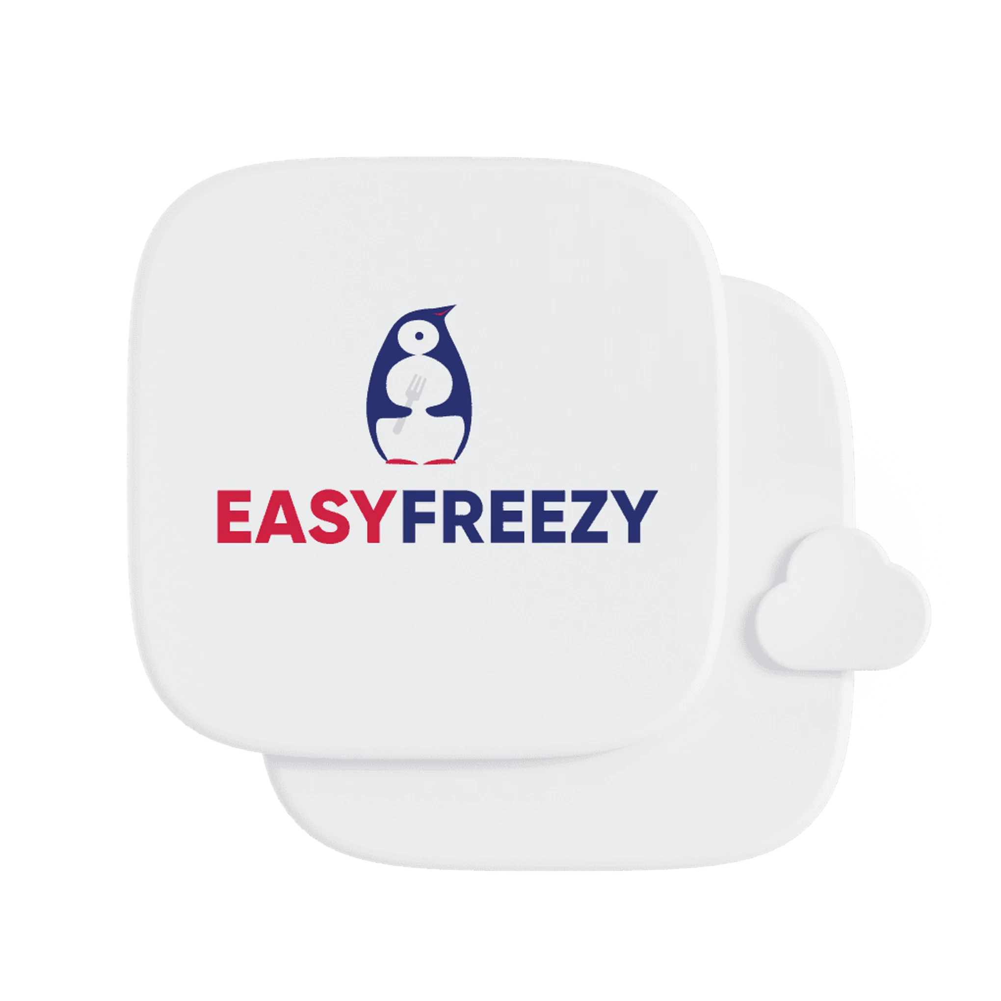 Easy Freezy: как мы выявили и устранили уязвимости и баги на сайте с ...