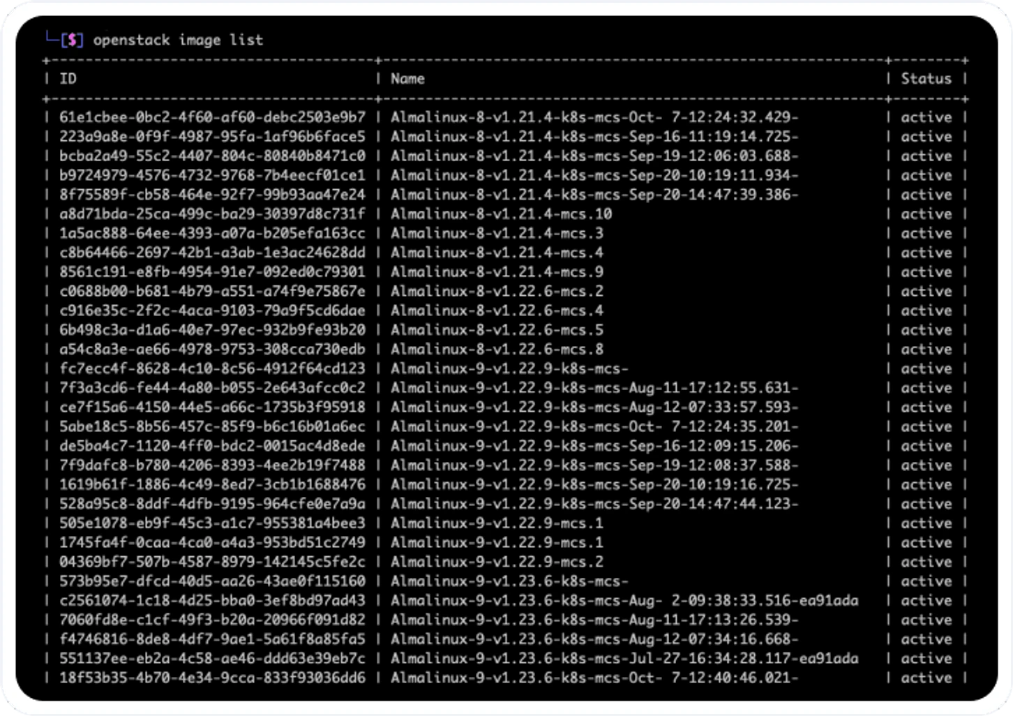 openstack image list